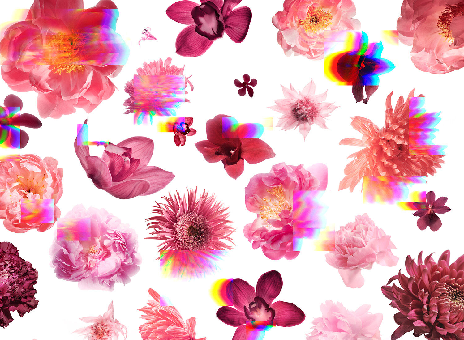 Flowerbomb Collection | Viktor & Rolf Official Site