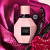 Meet Founders Viktor & Rolf| Viktor&Rolf Official Site