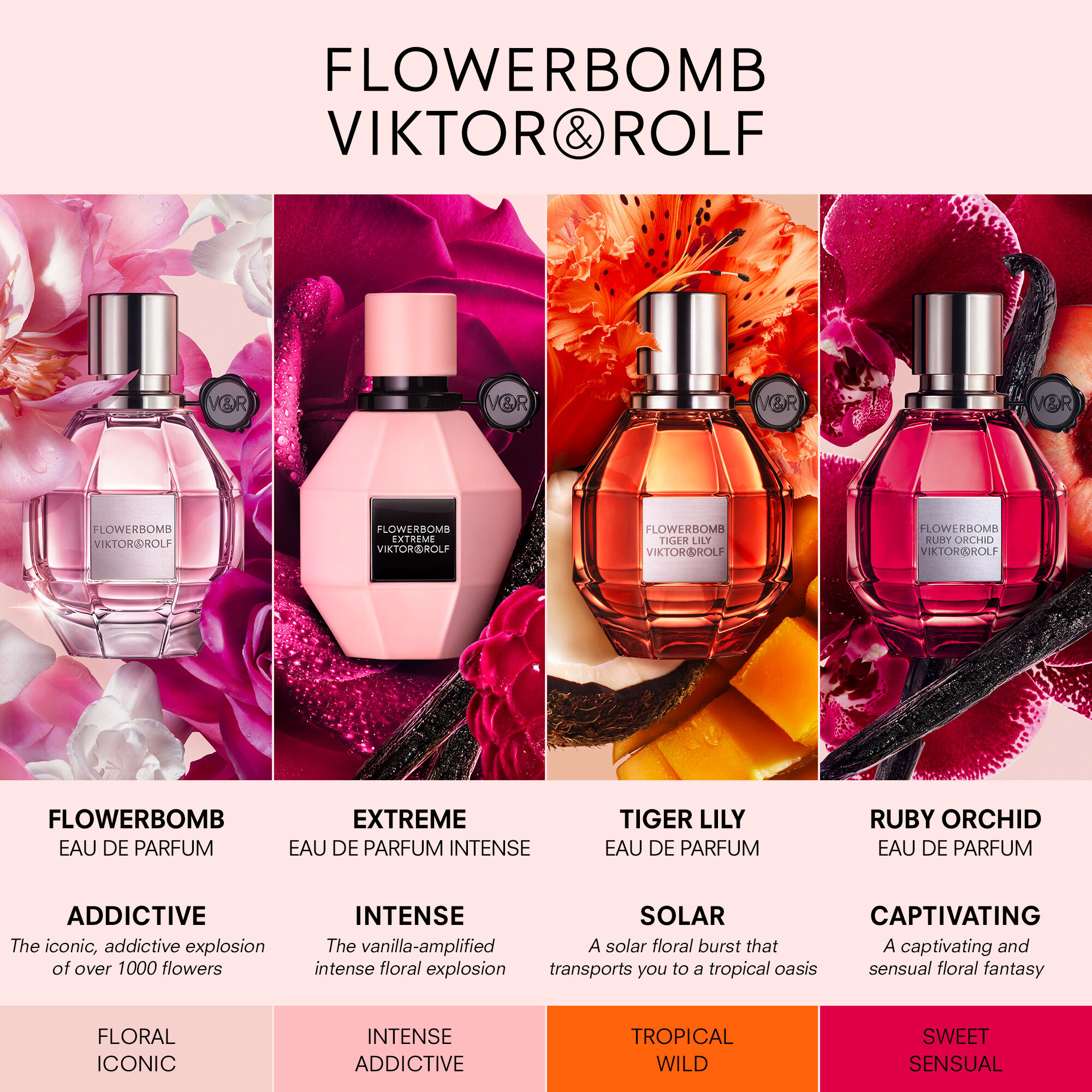 Flowerbomb Tiger Lily Perfume | Viktor & Rolf Official Site