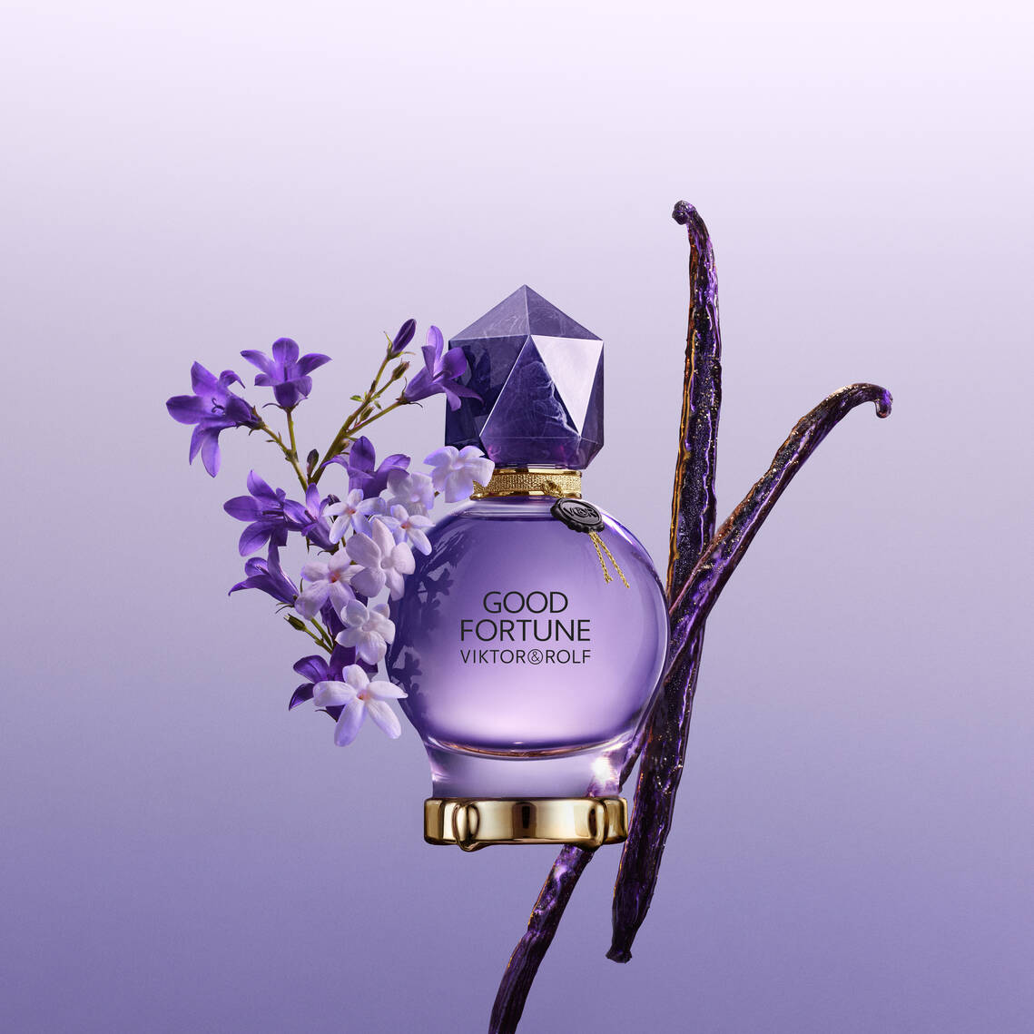 Viktor&Rolf Fragrances, Colognes and Perfumes